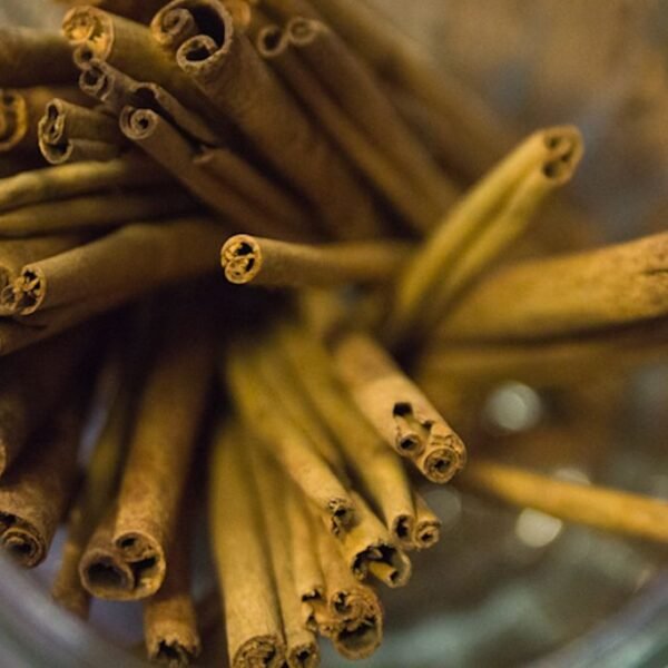 Labub Kabir: A Timeless Herbal Remedy - MedDrop