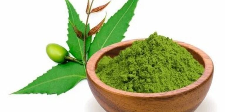 The Wonders Of Neem Powder: Natural Benefits And Uses - Meddrop